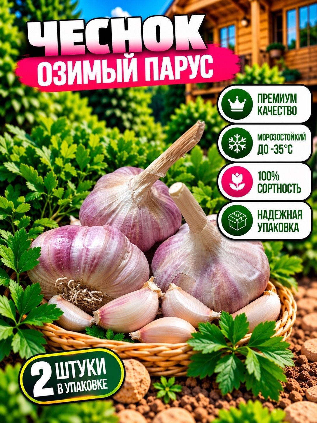 Чеснок озимый на посадку "Парус" 2шт.