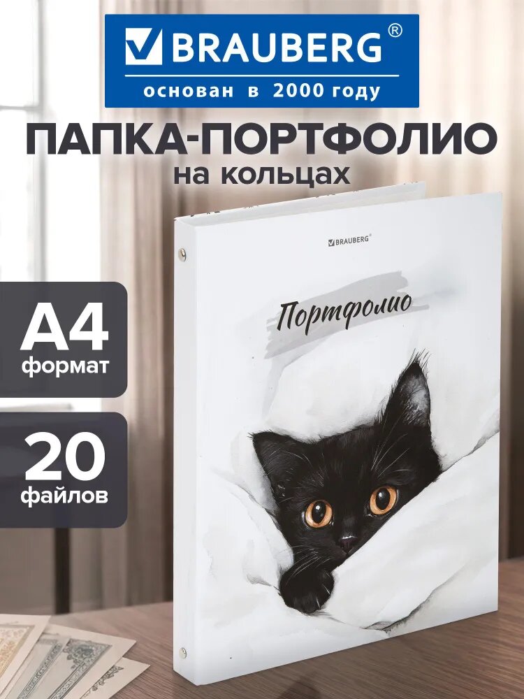 Портфолио школьника, папка А4 на кольцах матовая, 20 файлов, для девочек и мальчиков, Brauberg