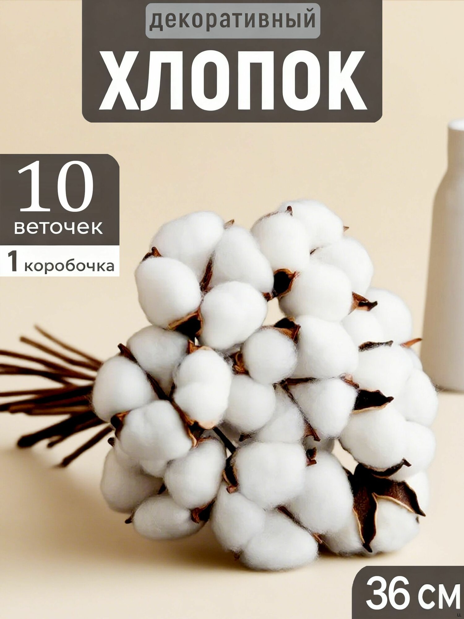 Сухоцветы Хлопок 36 см 10 шт белый