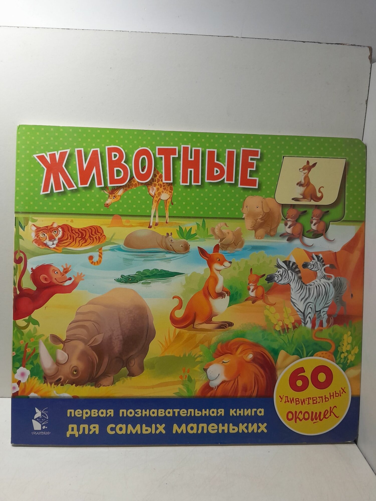 Животные. 60 удивительных окошек. Первая познавательная книга для самых маленьких