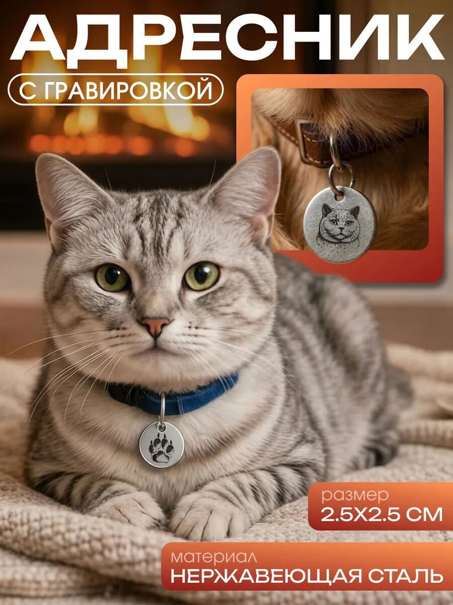 Брелок адресник круг с гравировкой Британская кошка