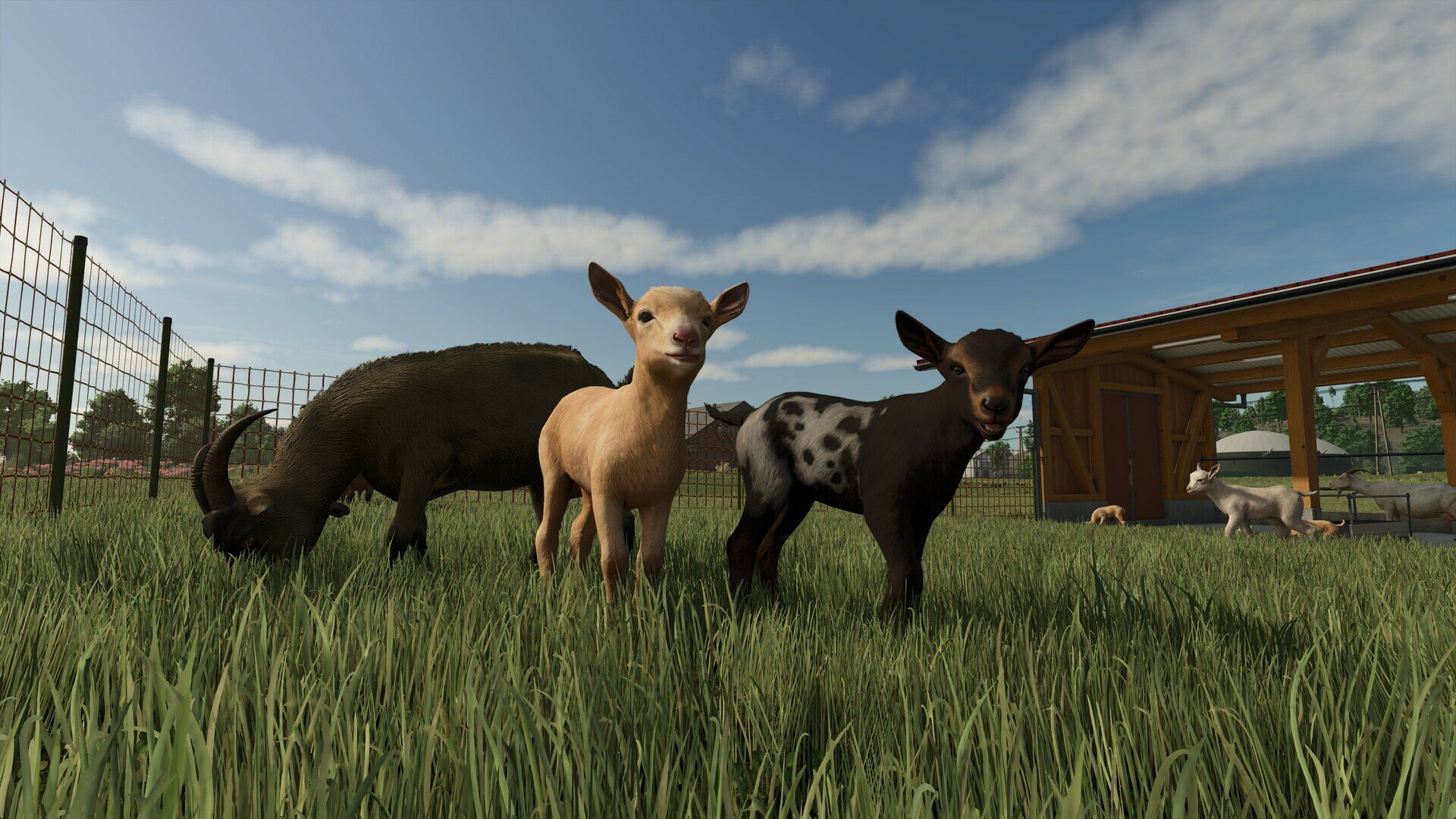 Farming Simulator 25 Украина — фото 1