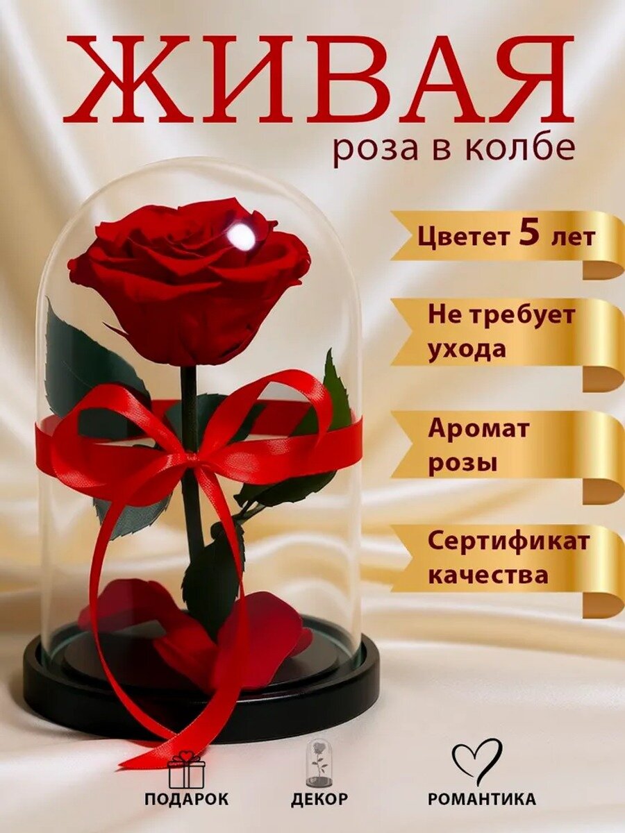 Стабилизированные цветы Роза 22 см 1 шт красный, диаметр бутона 3-4 см, колба 20х10