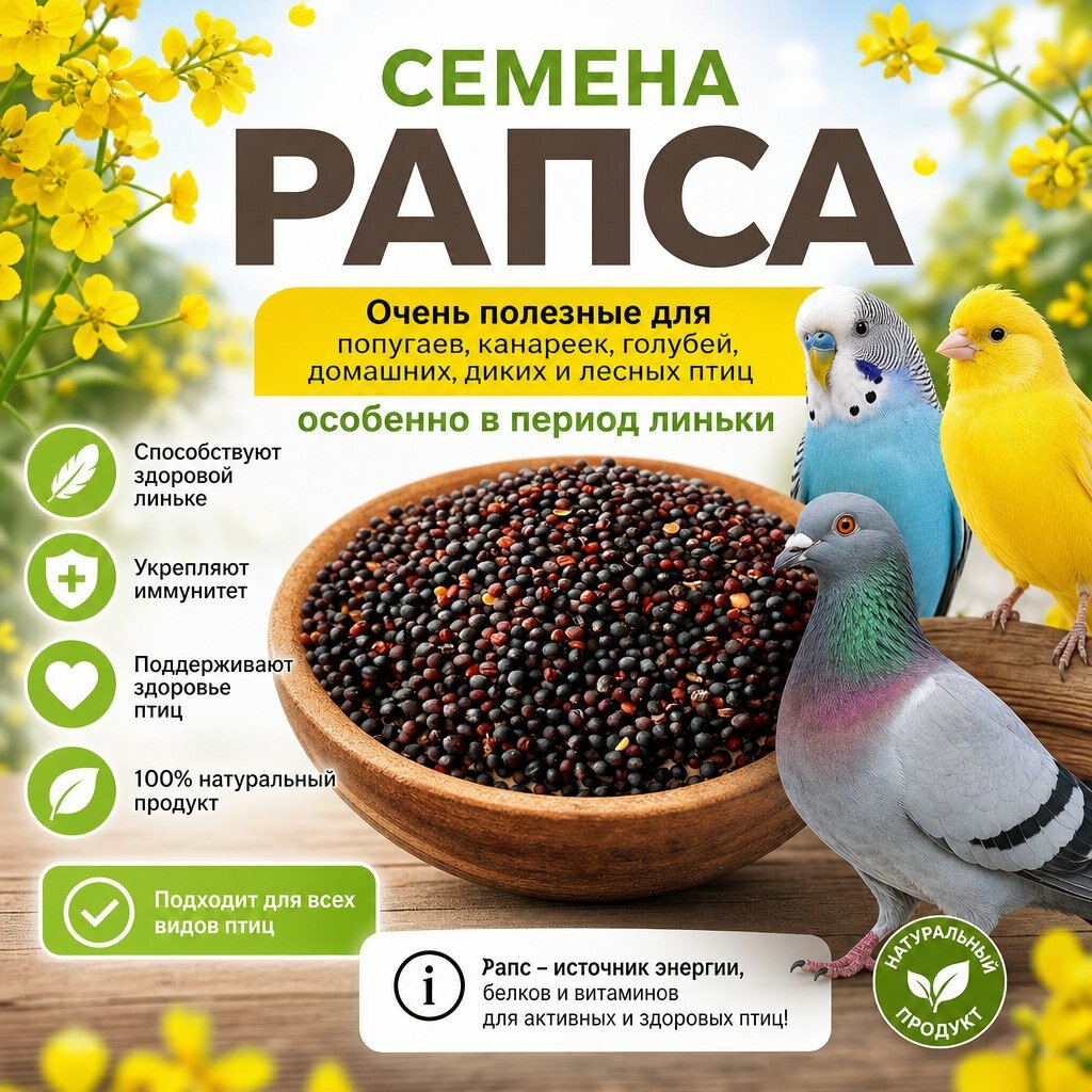 Семена Рапса, Рапс Корм для Попугаев, Канареек, домашней птицы, Голубей, диких и лесных птиц 2 кг