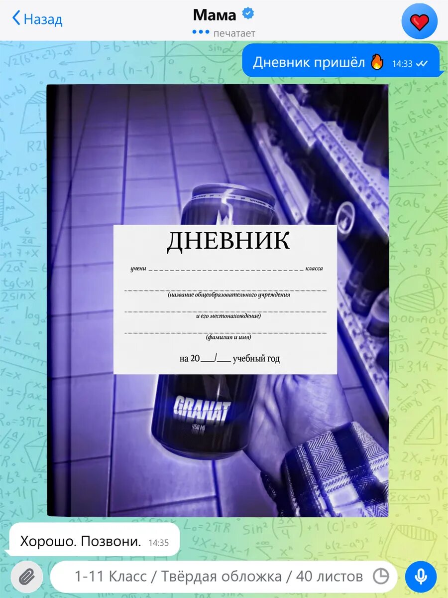 Школьный дневник с принтом Роблокс