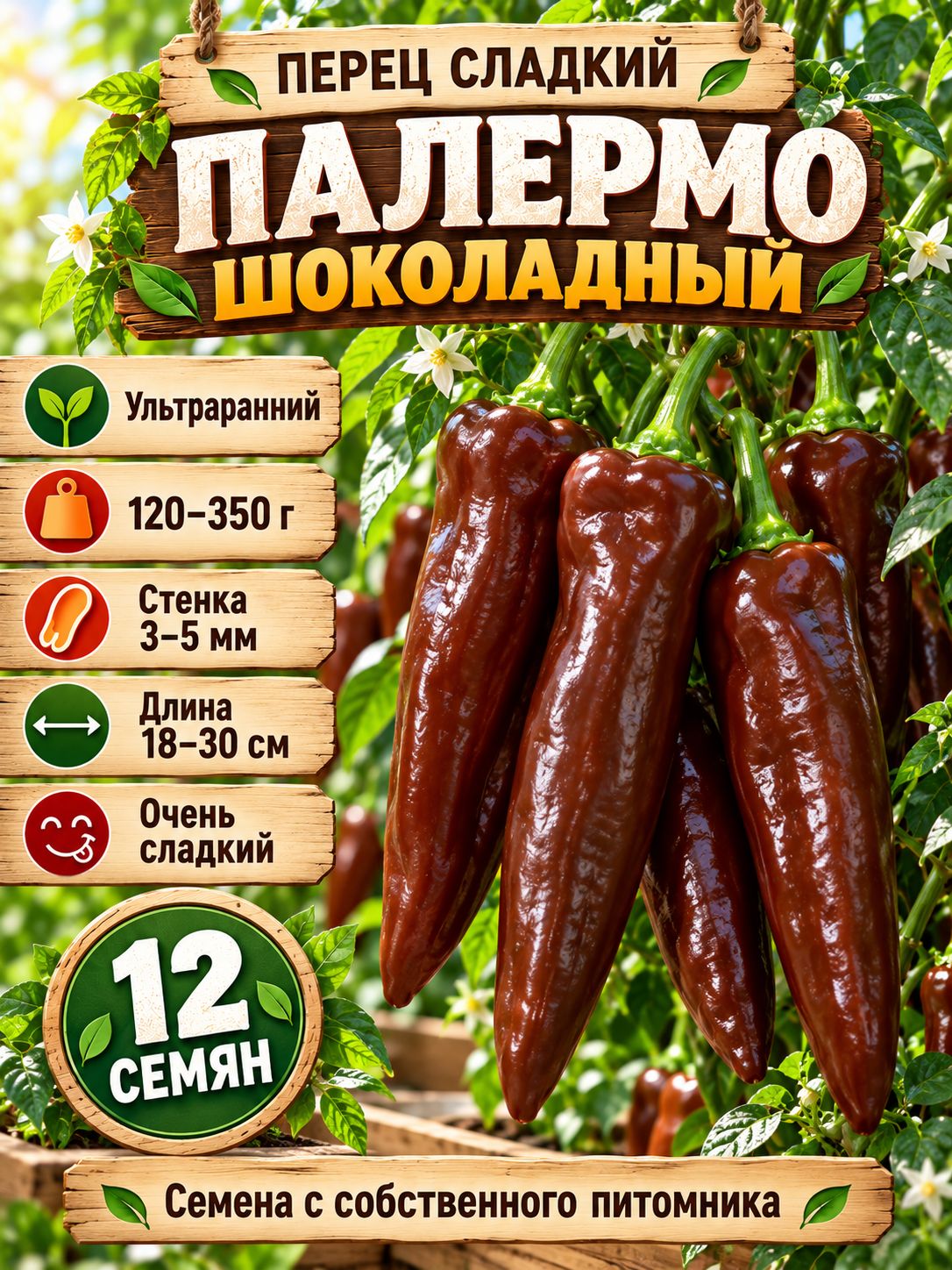 Семена перца Палермо шоколадный