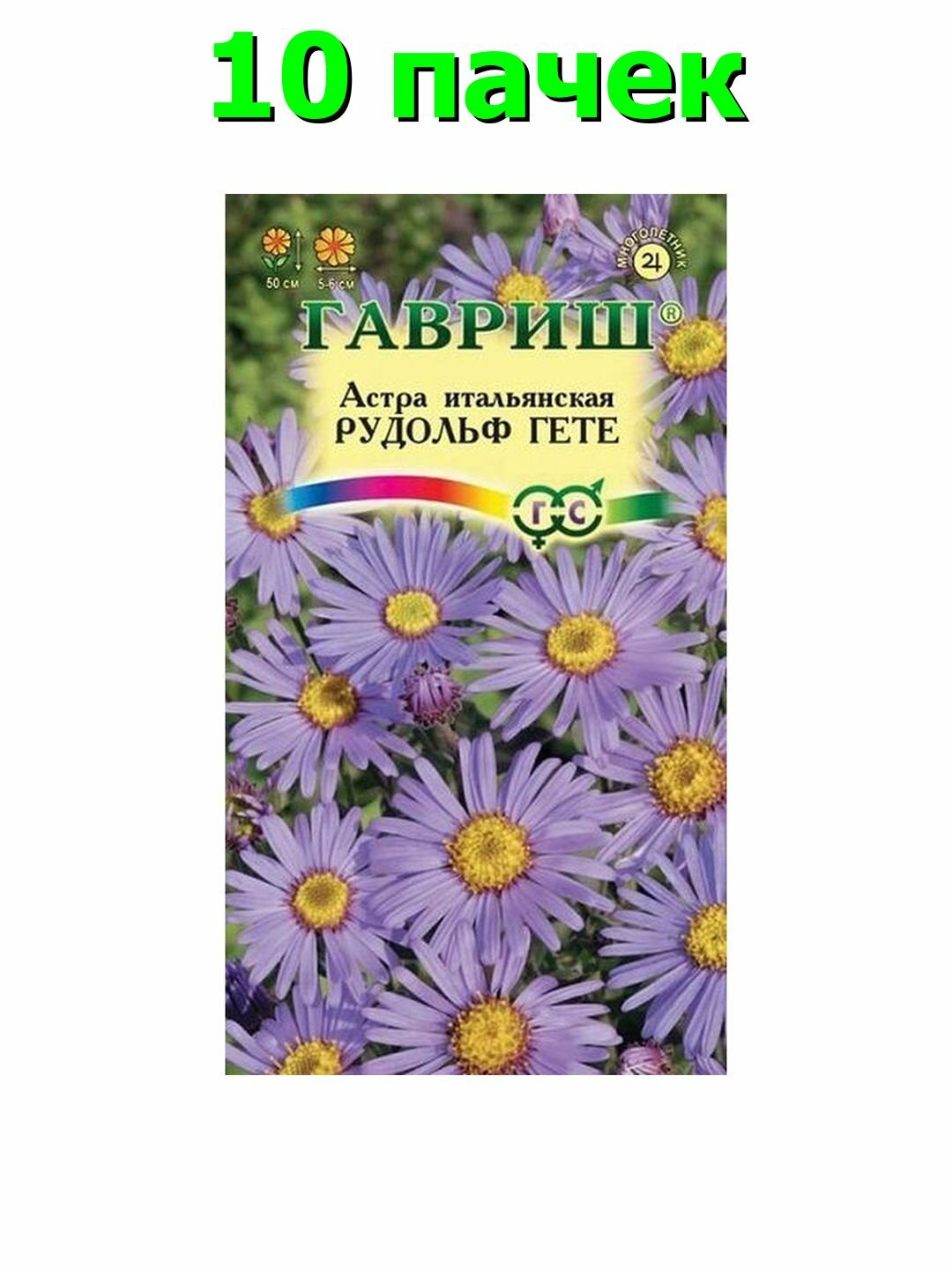 Семена Астра Рудольф Гете, многолетник, цветной пакет, Гавриш, 1 пачка - 0.1г семян