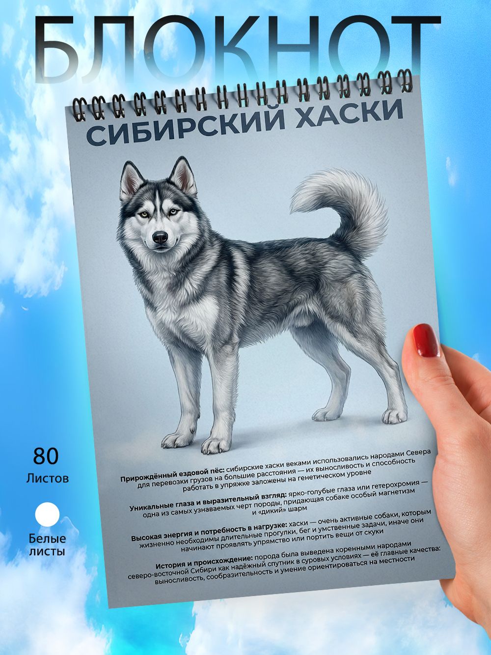 Блокнот А6 - Сибирский хаски