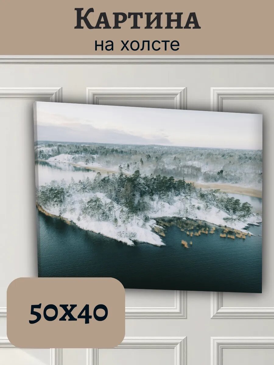 Картина Постер Швеция Sweden 40x50 зимний лесной