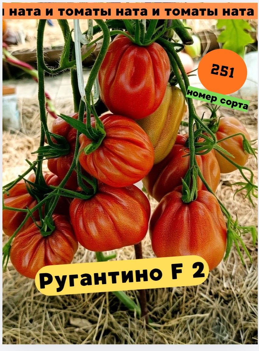 Коллекционные семена томата Ругантино F2 10 шт