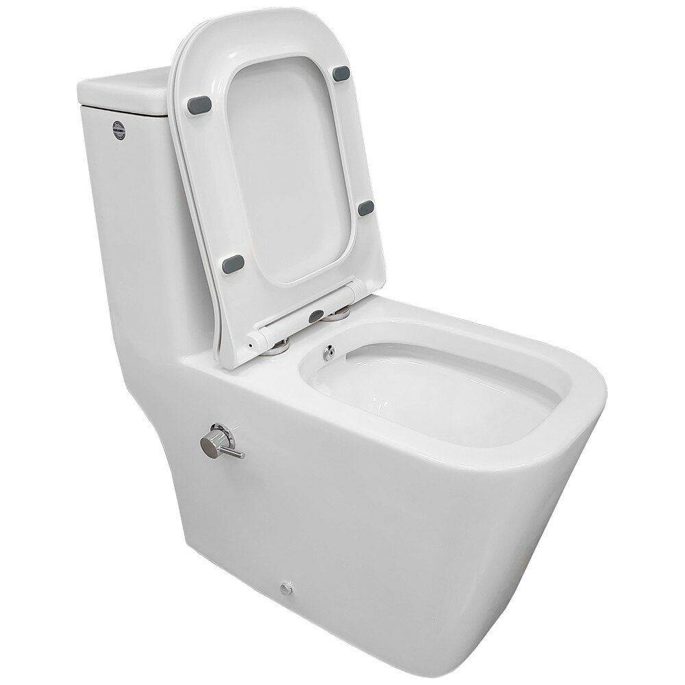 Унитаз Bloomix S-Line 2324SB/UF1 Ceramic+ моноблок безободковый с функцией биде и смесителем
