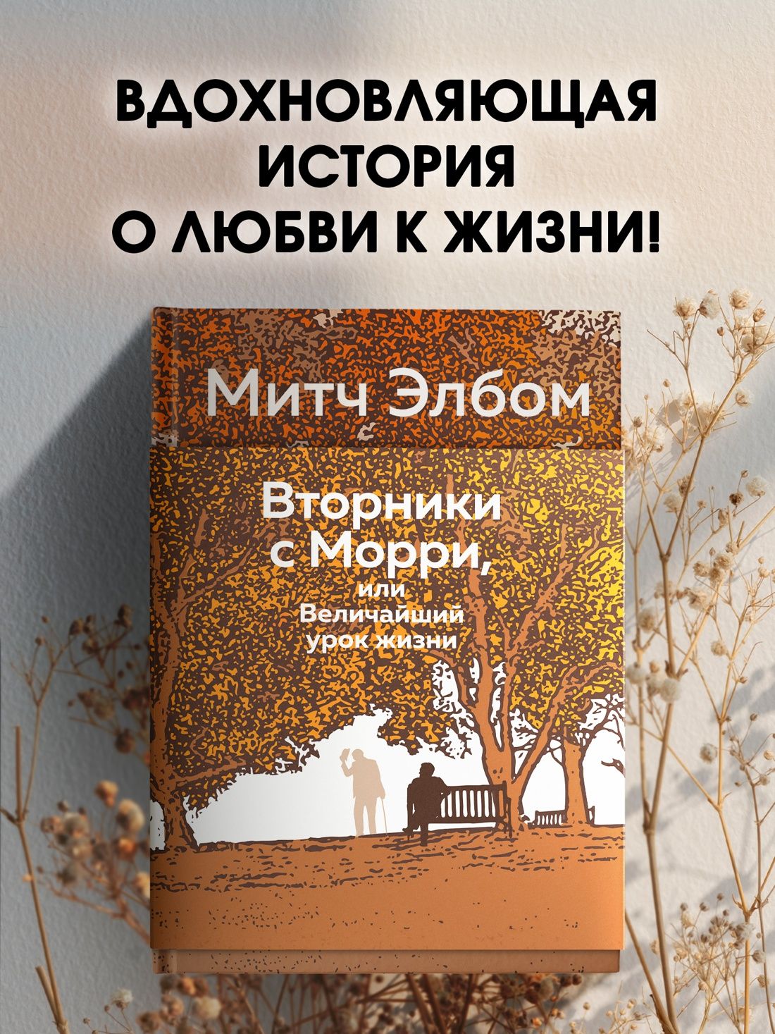 Вторники с Морри, или Величайший урок жизни | Элбом Митч