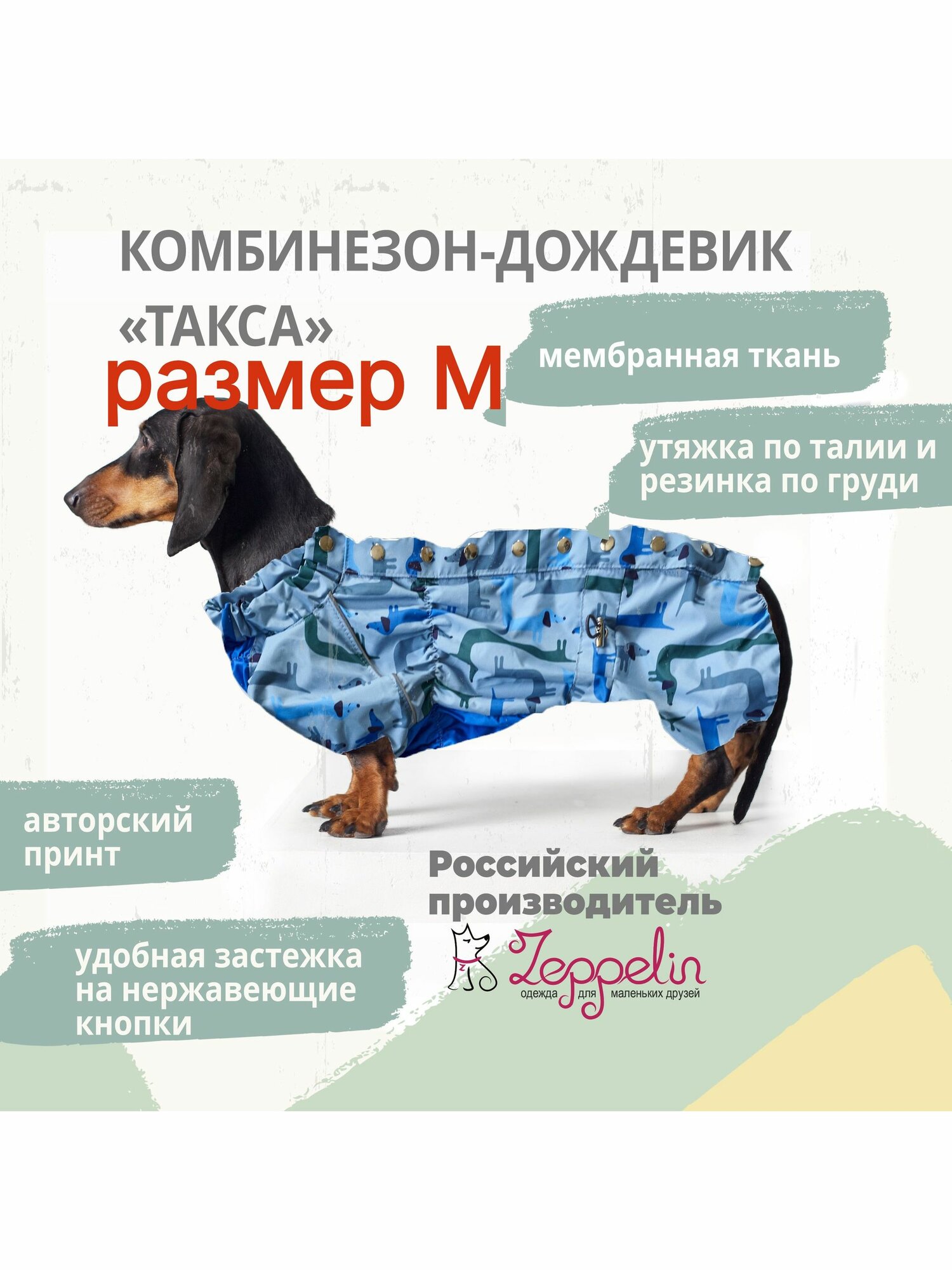 Комбинезон-дождевик на Таксу из мембранной ткани (для мальчика)