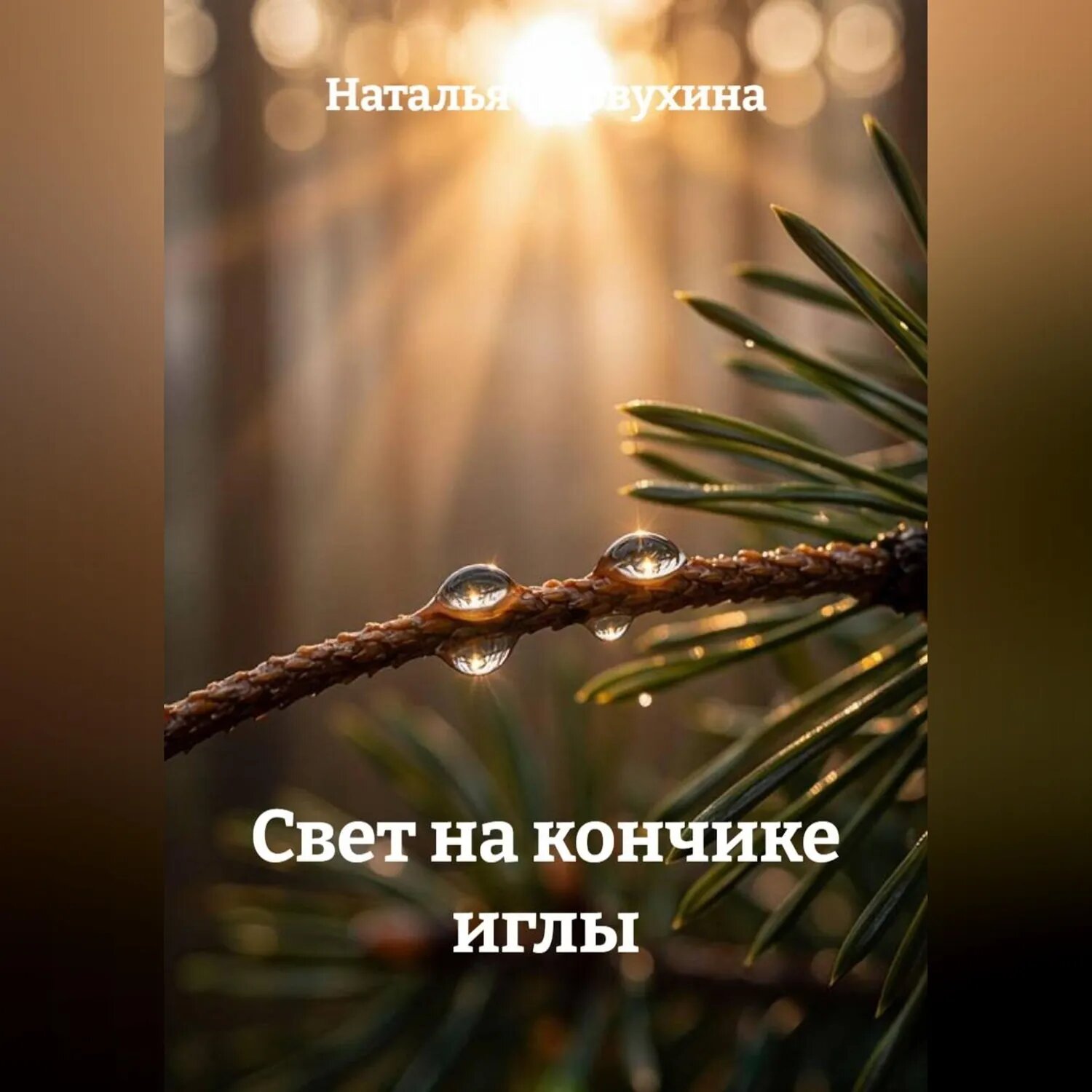 Свет на кончике иглы [Аудиокнига]