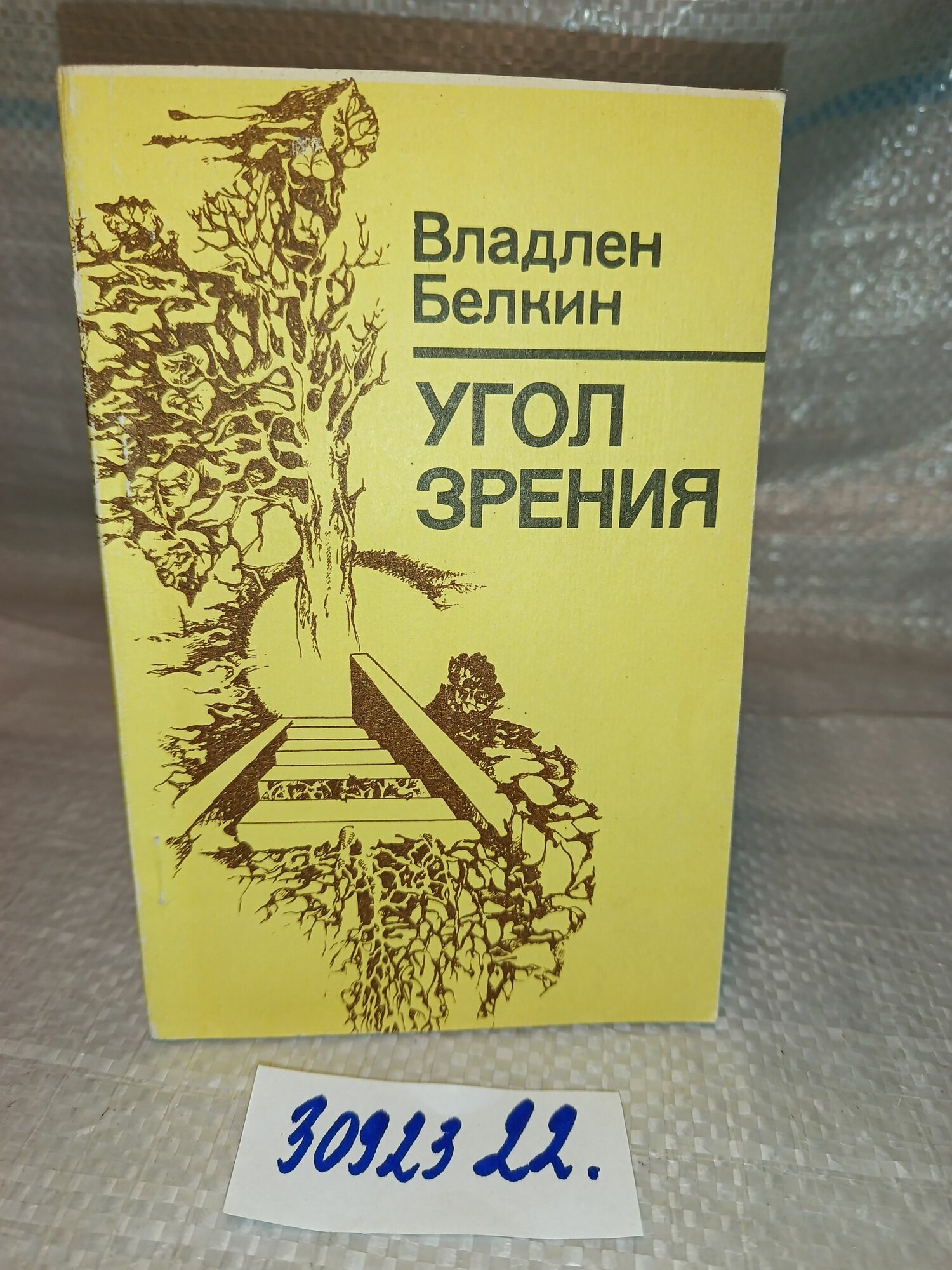 Владлен Белкин. Угол зрения. Стихи.