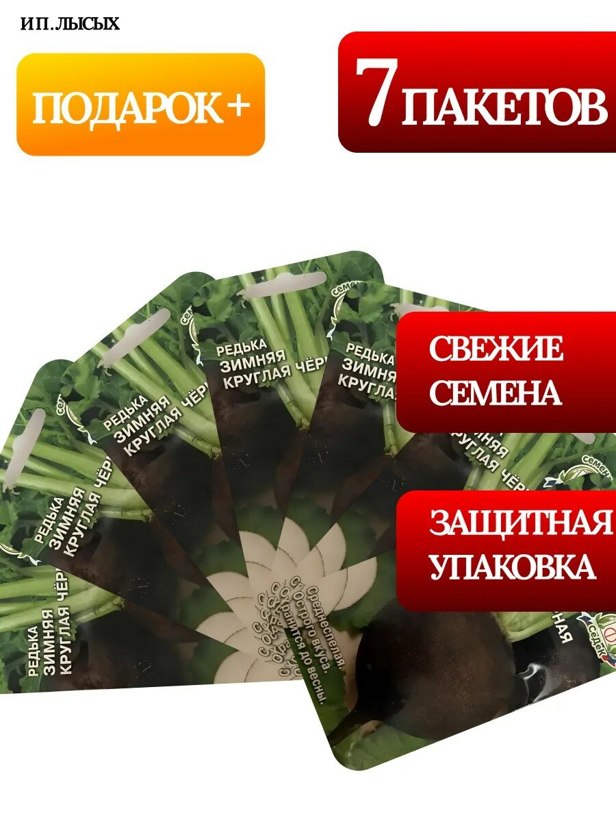 Семена Редька "Зимняя Круглая Черная"