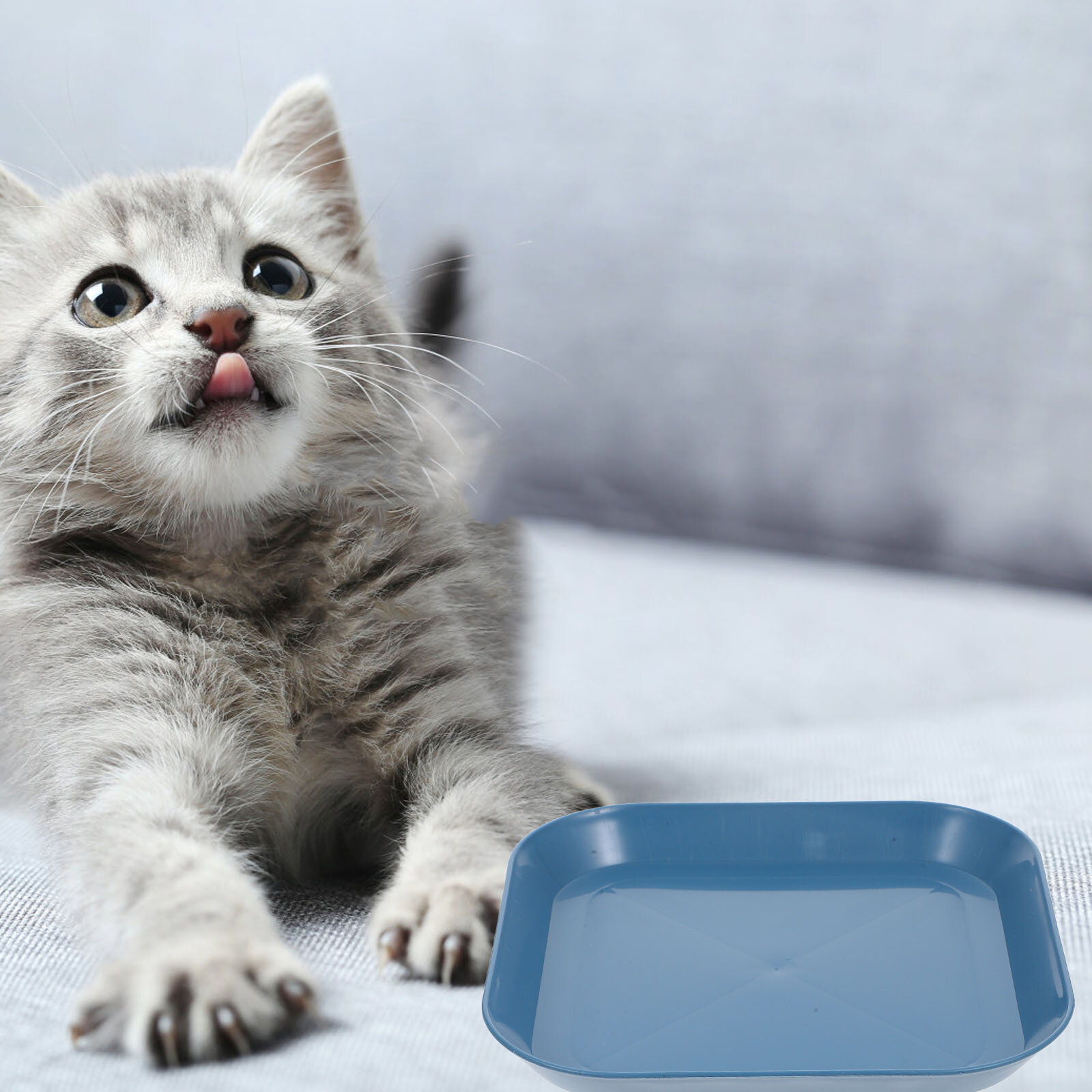 Набор Из 1 Шт Кормушка Для Кошек И Собак Широкое Плоское Дно Антипроливной Cat Bowls 14.50X14.50X1.50Cm