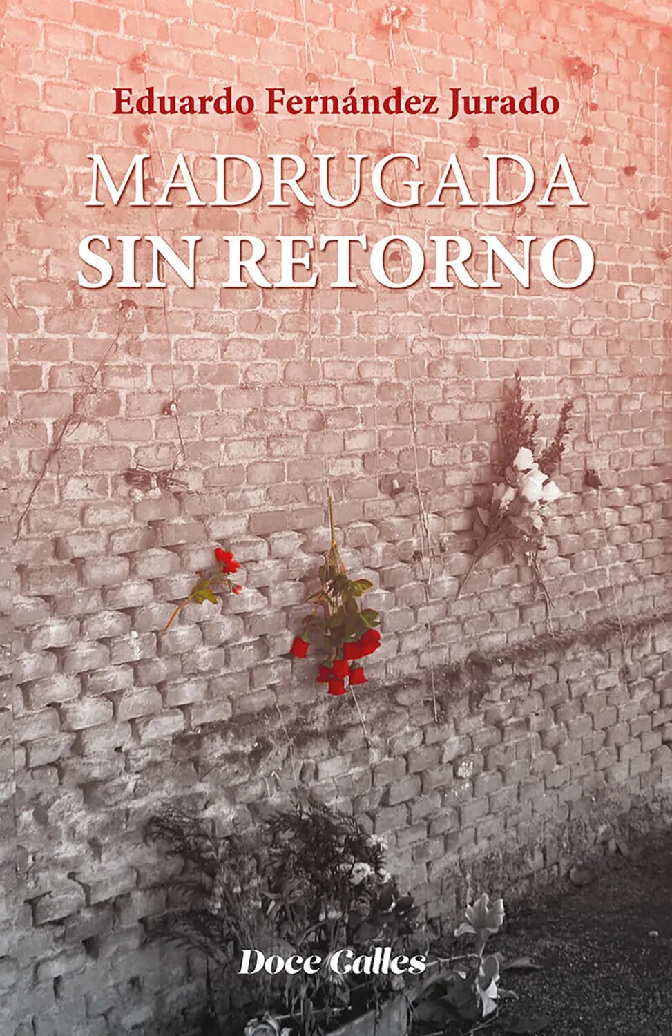 Madrugada sin retorno [Цифровая книга]