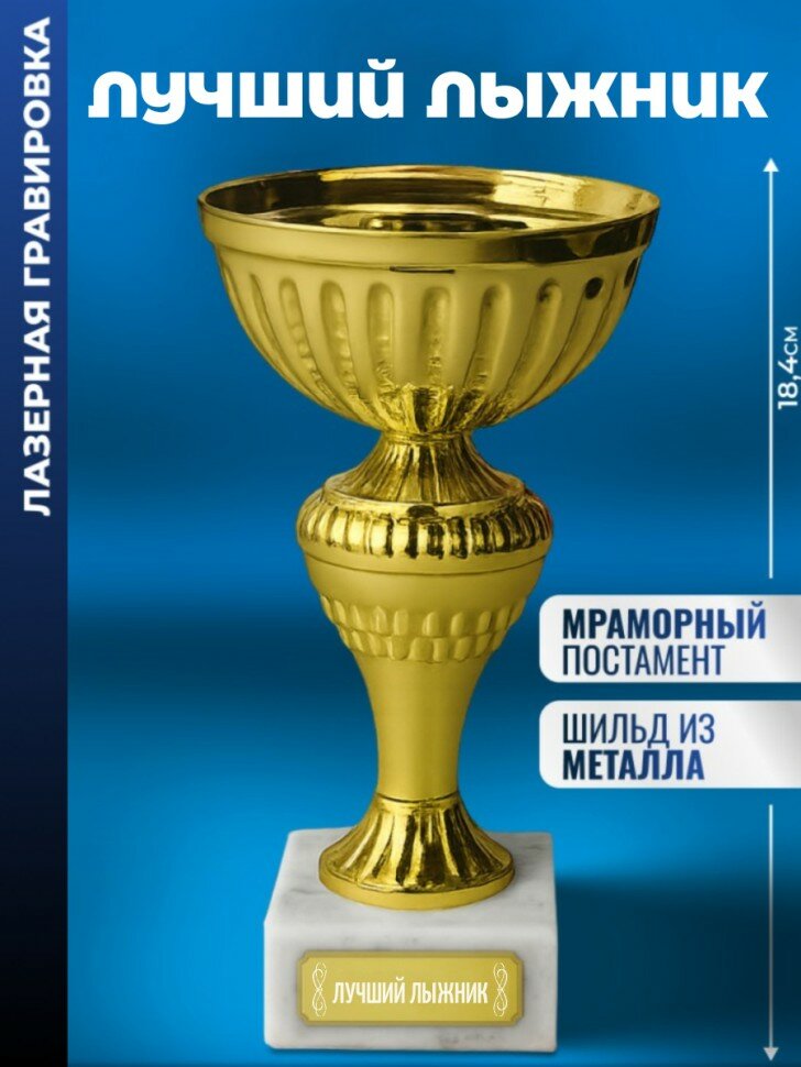 Кубок "Лучший лыжник"
