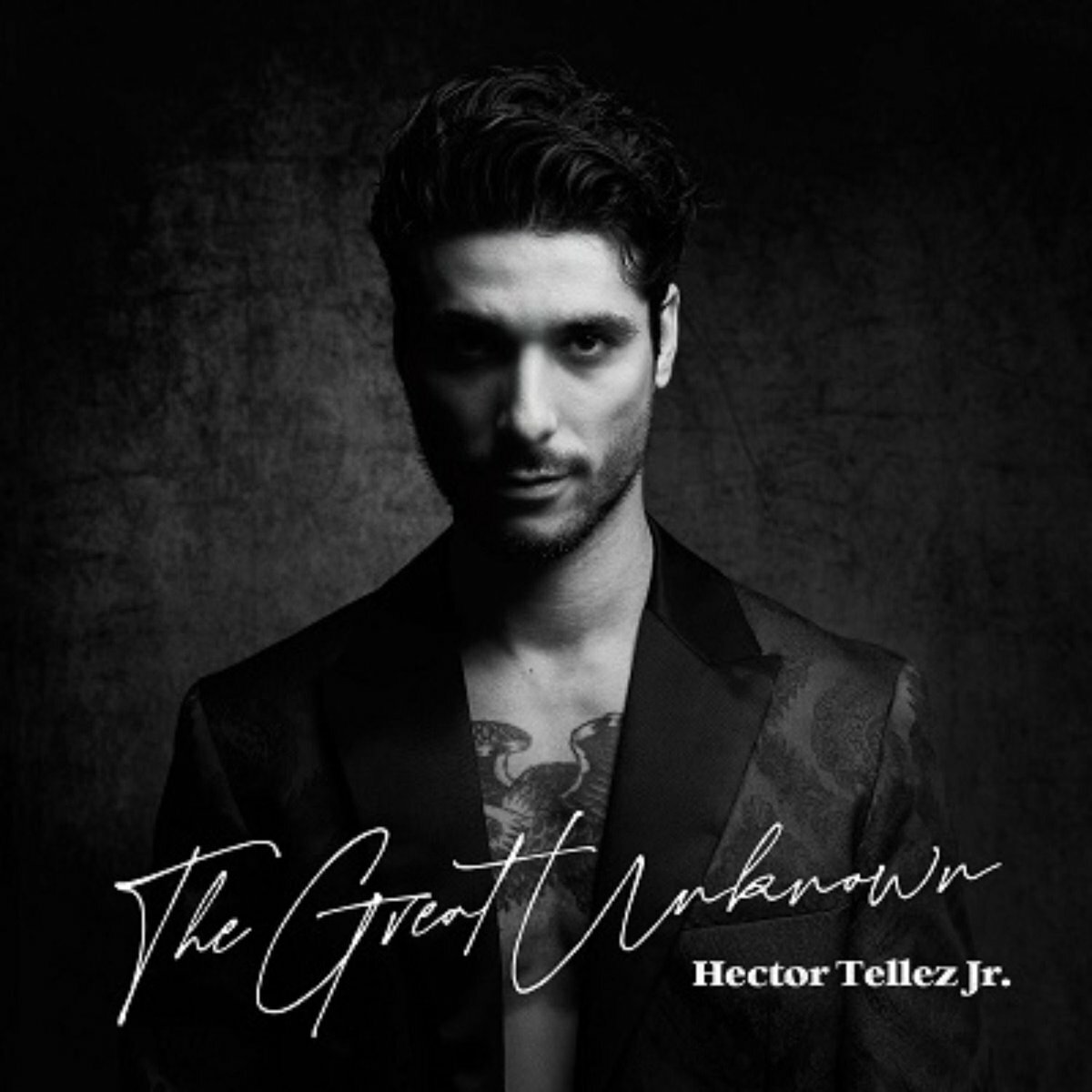 Виниловая пластинка Hector Tellez Jr. - The Great Unknown (Vinyl, LP, Album, 2023)