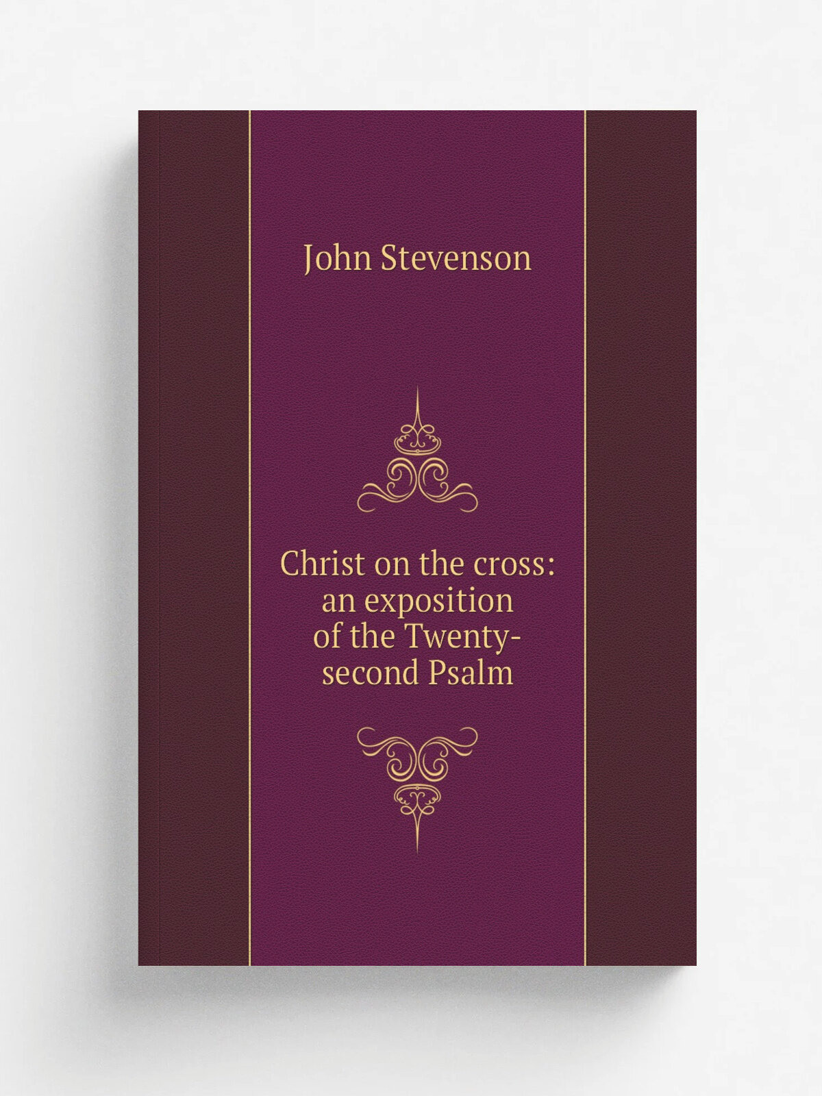 Christ on the cross: an exposition of the Twenty-second Psalm