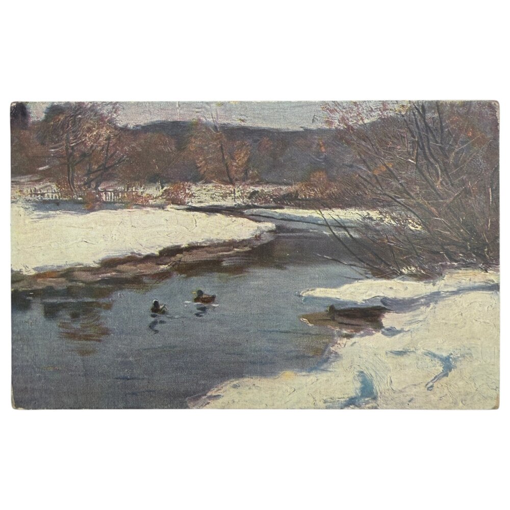 Почтовая открытка "Дикие утки на реке зимой" 1900-1917 гг. Германская Империя