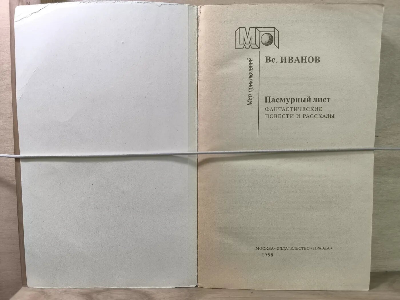 Пасмурный лист — фото 1