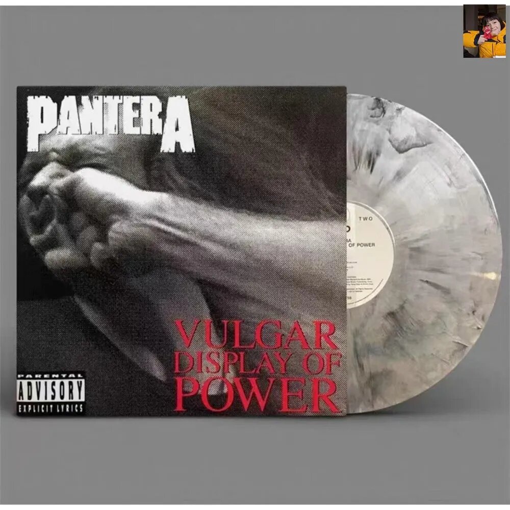 Виниловая пластинка Pantera - Vulgar Display Of Power(White & True Metal Gray Marbled Vinyl)