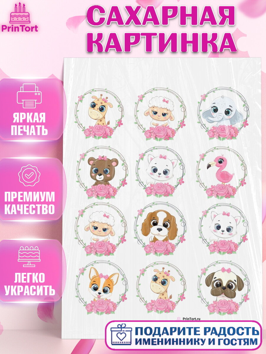 Сахарная картинка для торта Малышам. Украшения для торта девочке на День Рождения. Декор для выпечки PrinTort