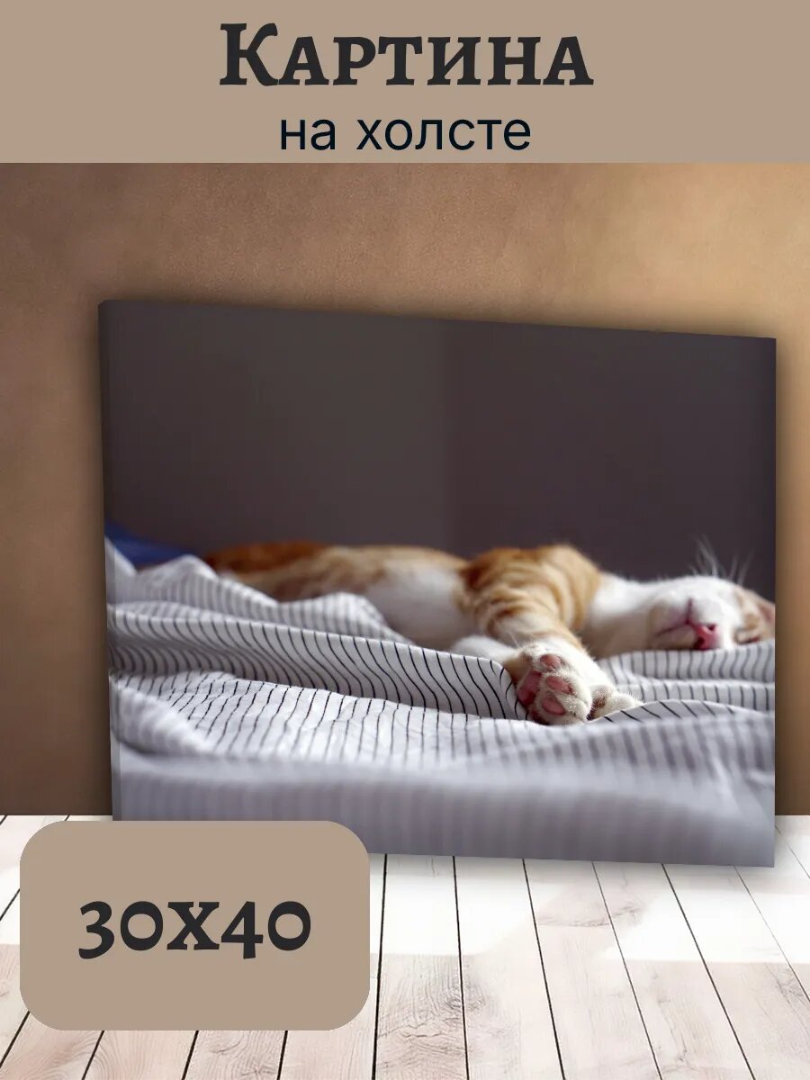 Картина Кот Кошка Cat 30x40 спящий рыжий на постели