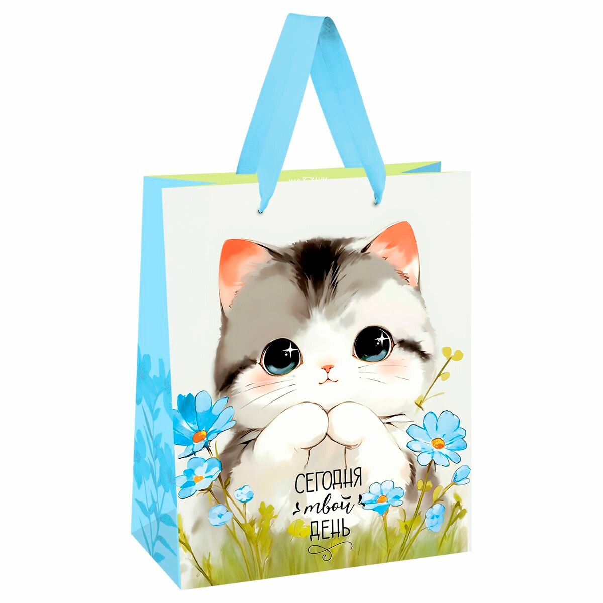 Пакет подарочный 18x23x10см MESHU "Cute kitten", матовая ламинация (MS_66121), 12 уп.