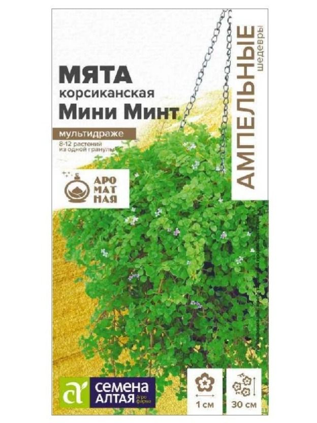 Мята Мини минт декоративная корсиканская «Семена Алтая»