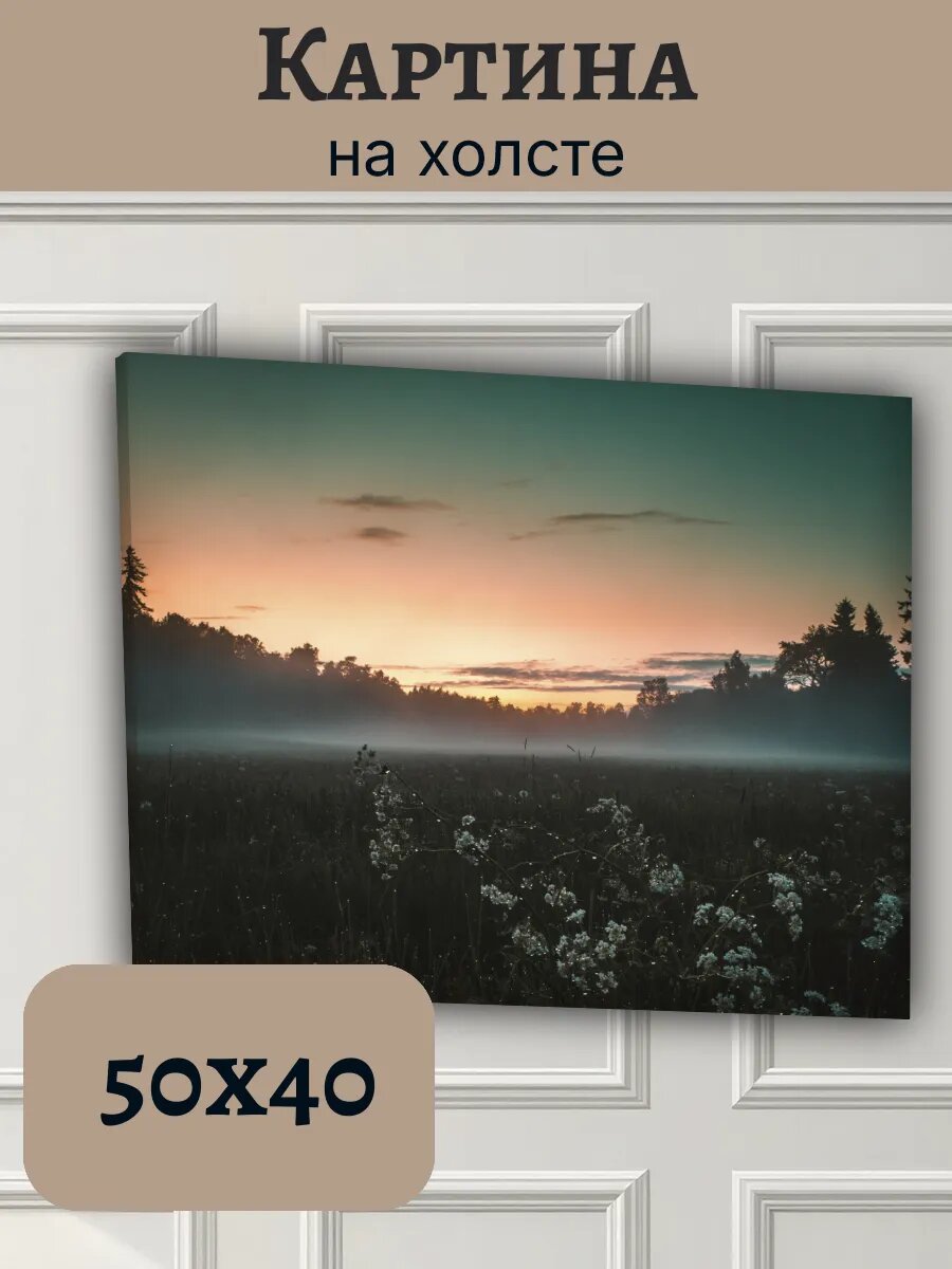 Картина Финляндия Finland 40x50 туманный лесной пейзаж
