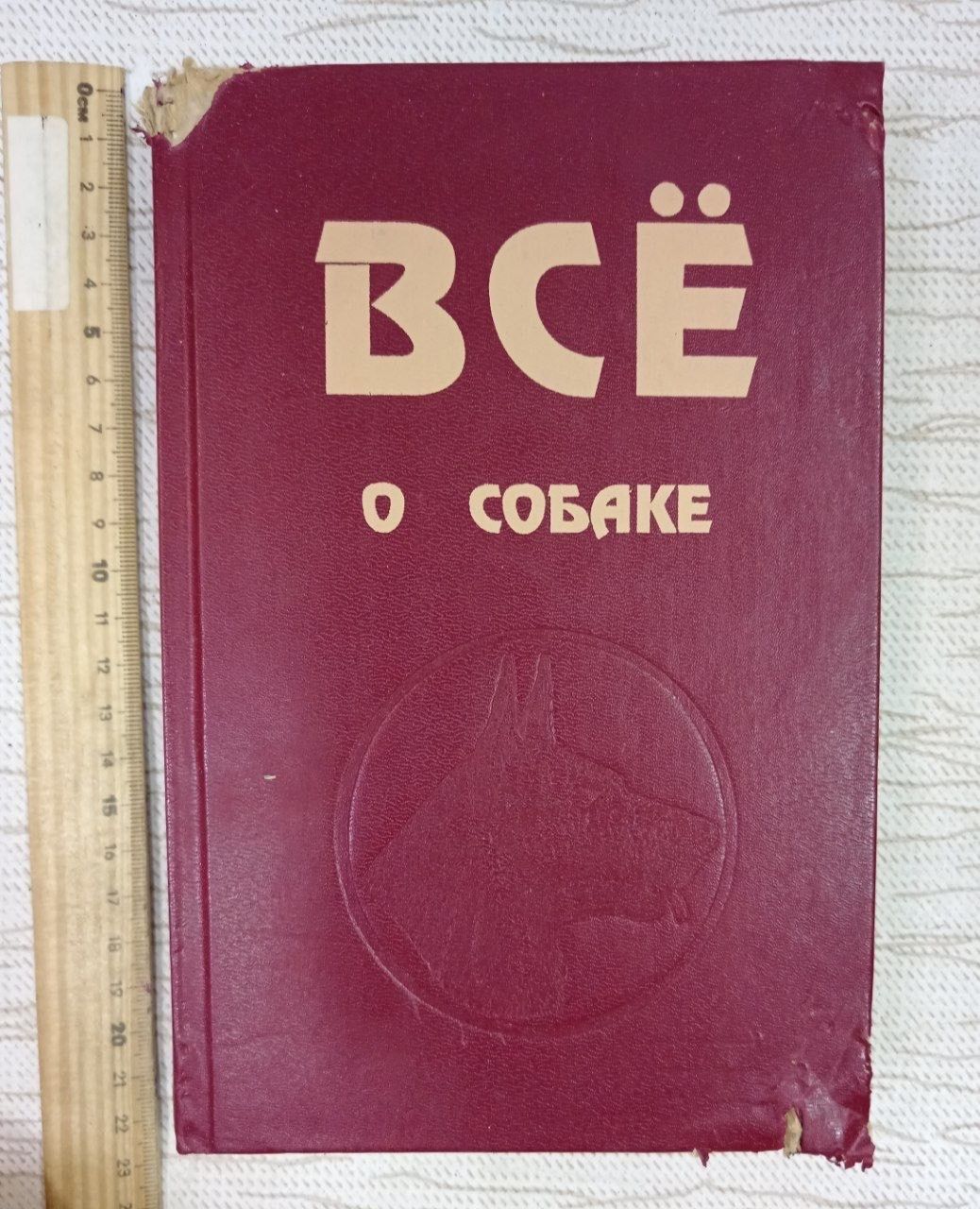 Всё о собаке
