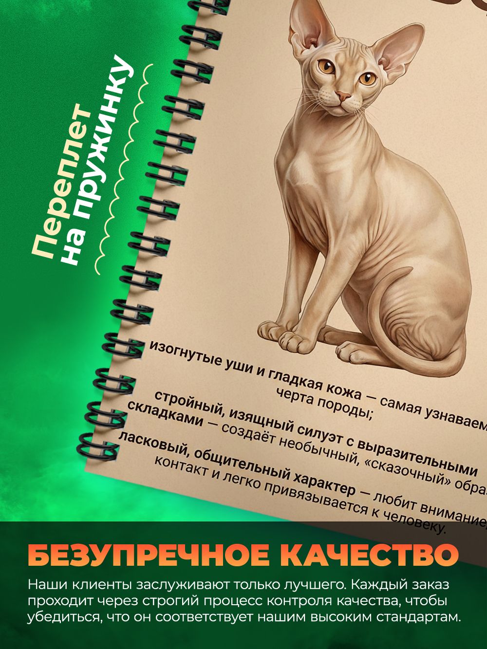 Тетрадь - А5 - Кошка - Эльф — фото 1