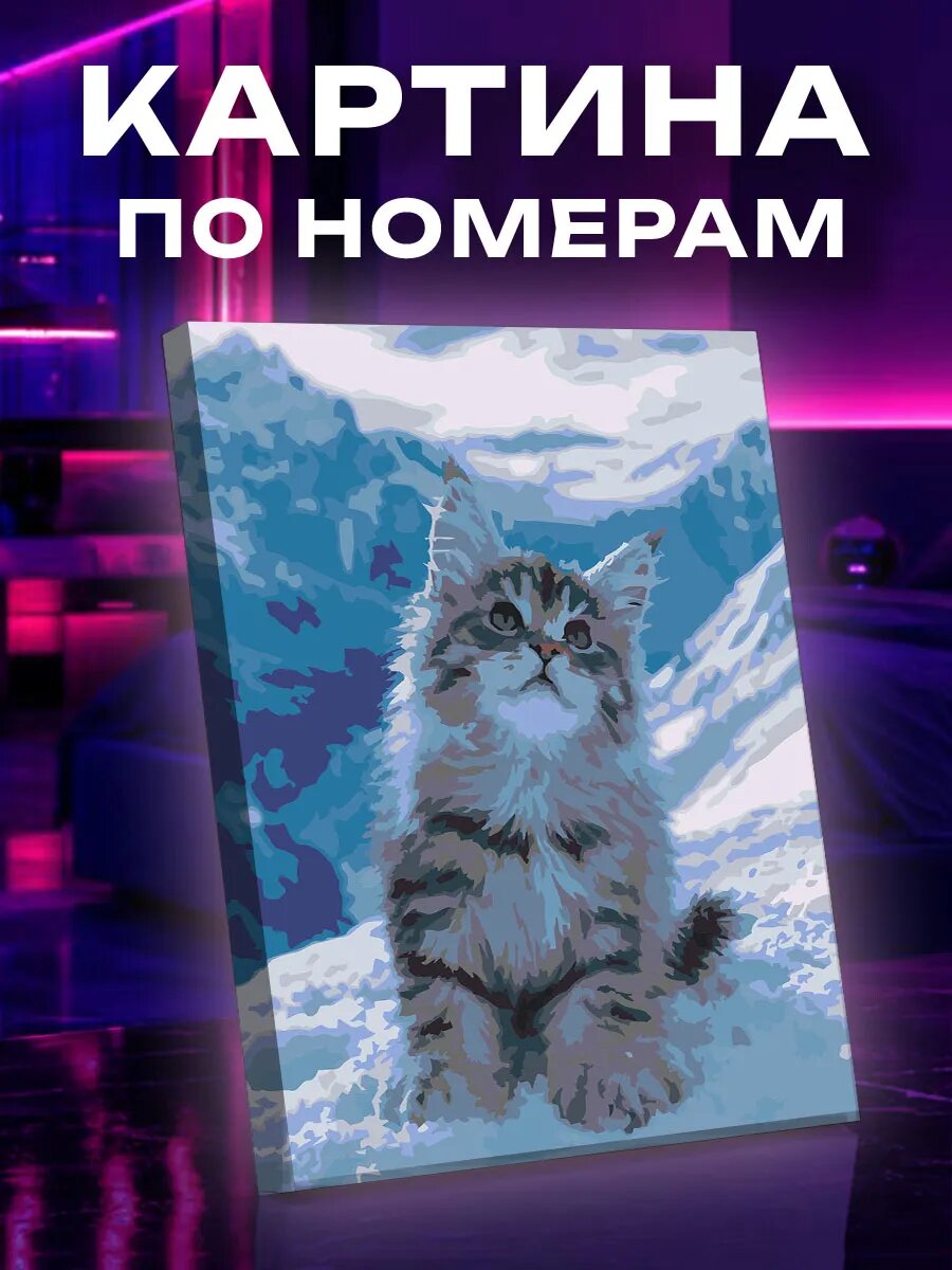 Картина по номерам Белоснежный мейн-кун в зимних горах