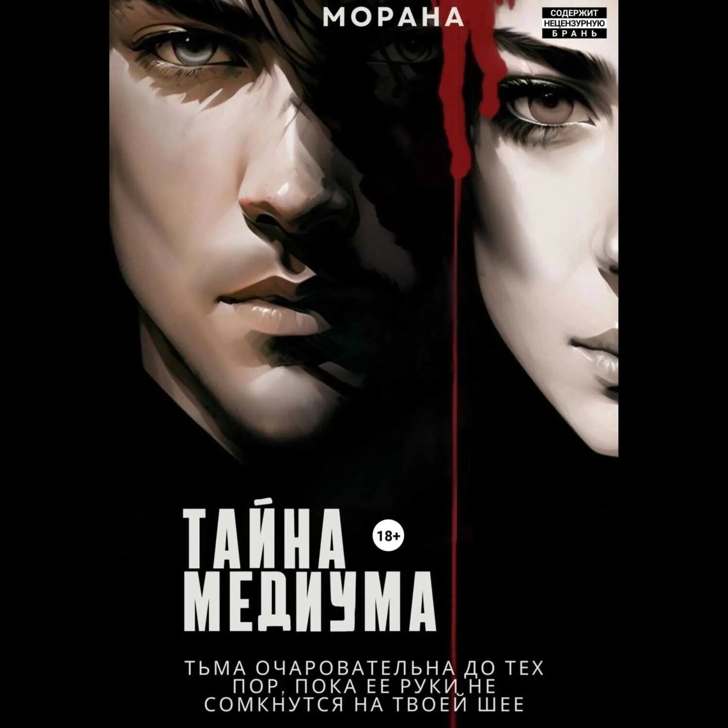 Тайна медиума [Аудиокнига]