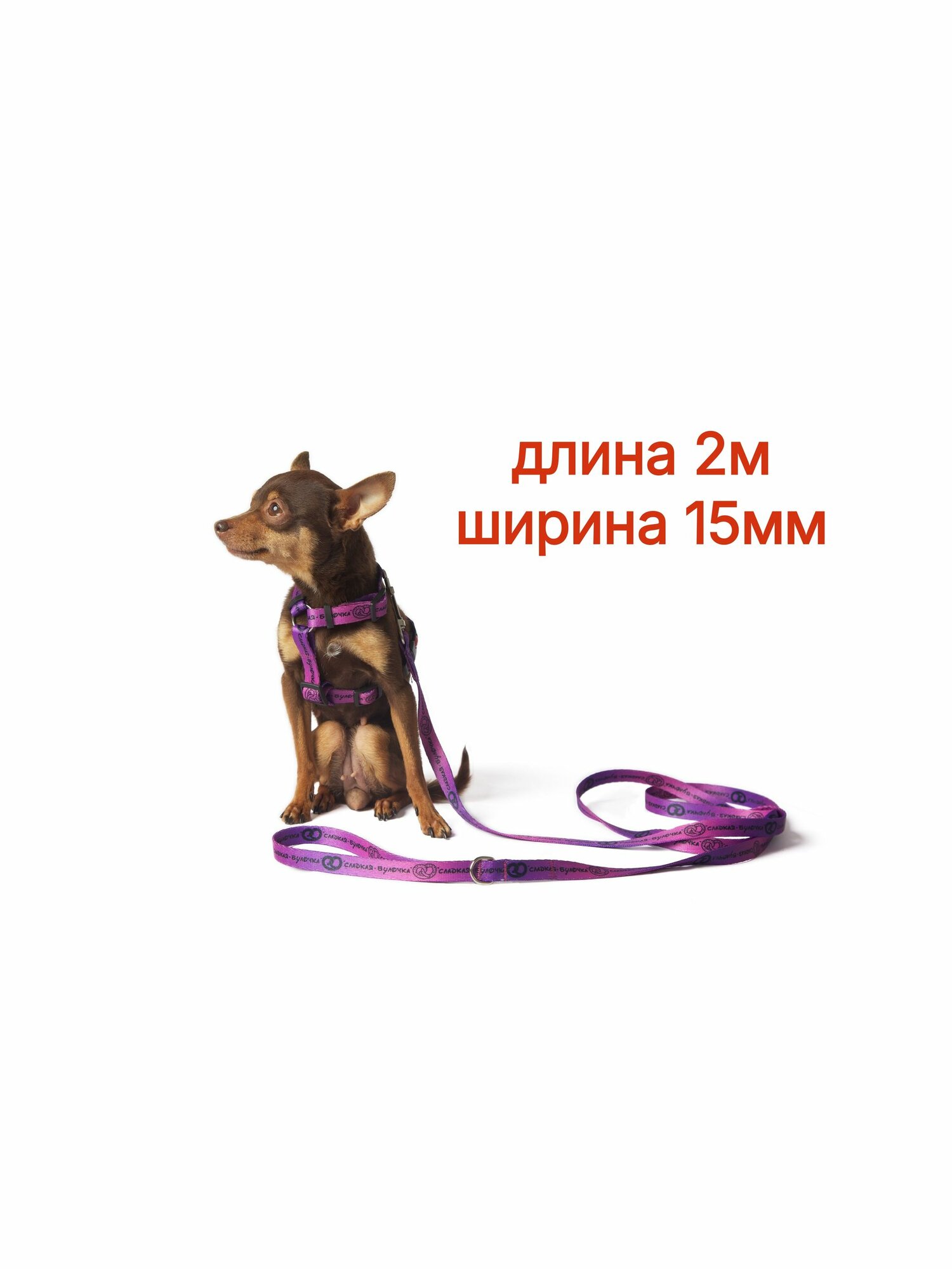 Поводок "Сладкая булочка", ширина 15мм