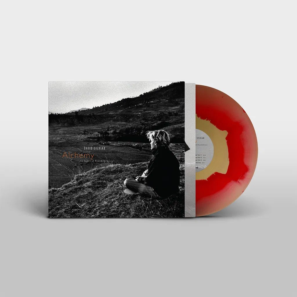Виниловая пластинка David Sylvian - Alchemy An Index Of Possibilities