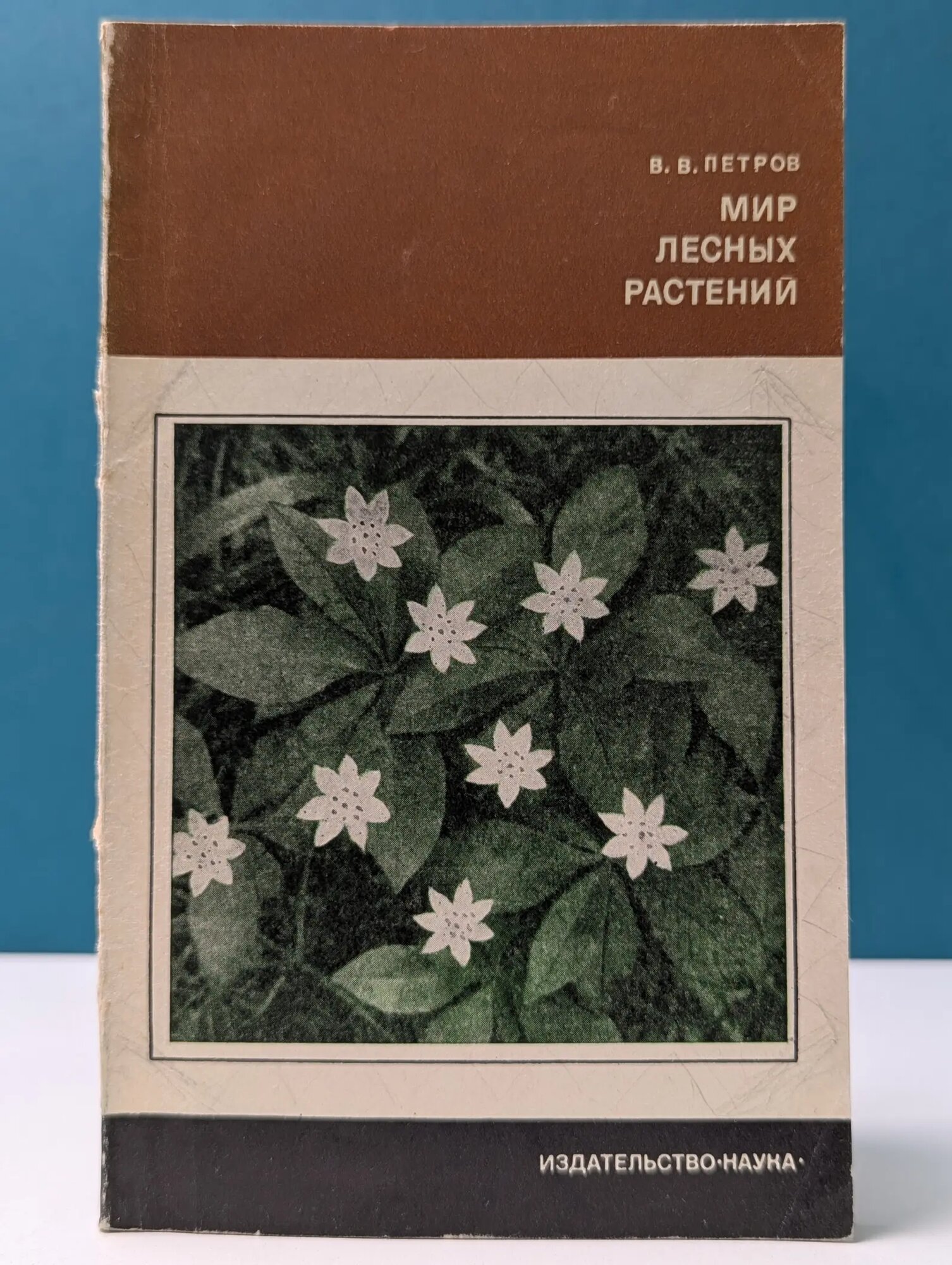 Человек и окружающая среда. Мир лесных растений Петров Владимир Владимирович 1978