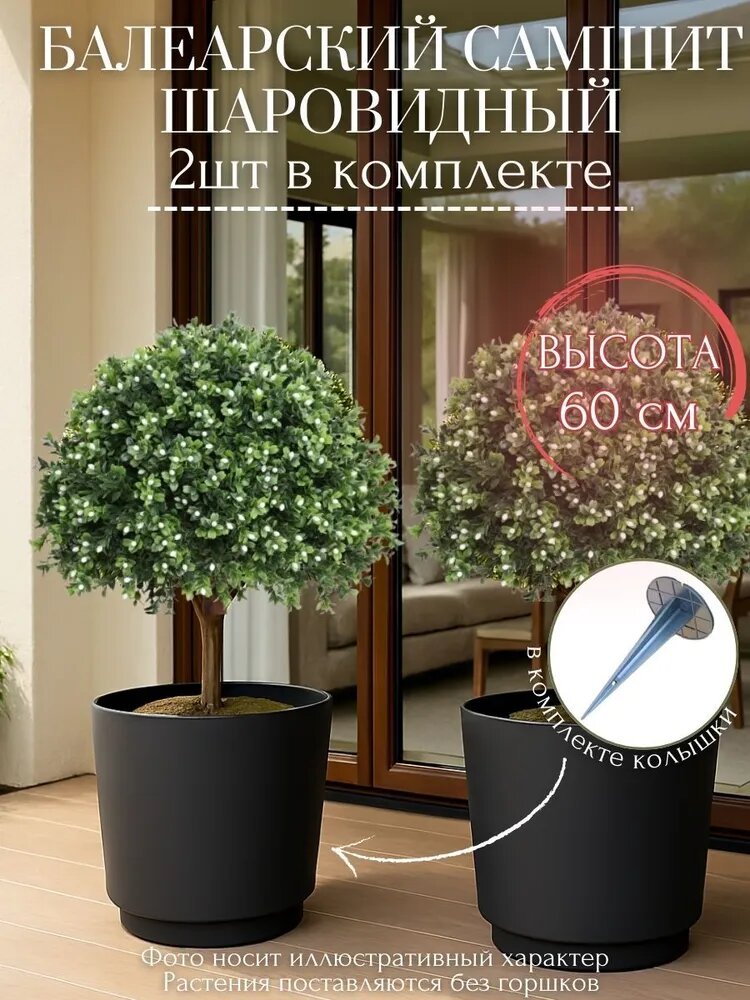 Искусственные цветы Самшит 2 шт белый, зеленый