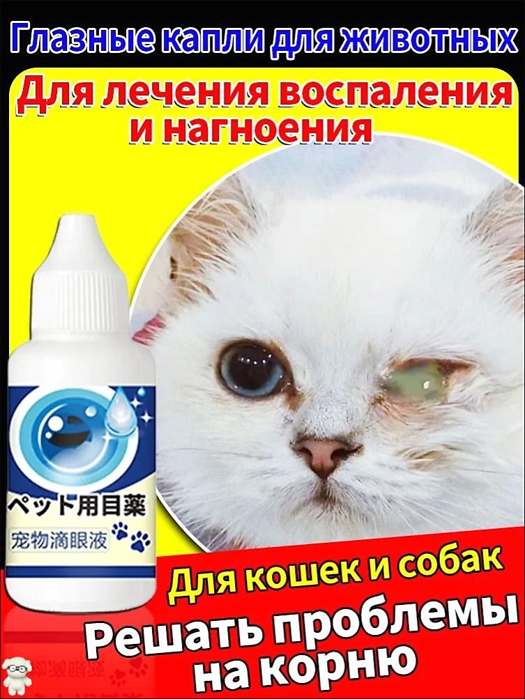 Капли для глаз для кошек от инфекции