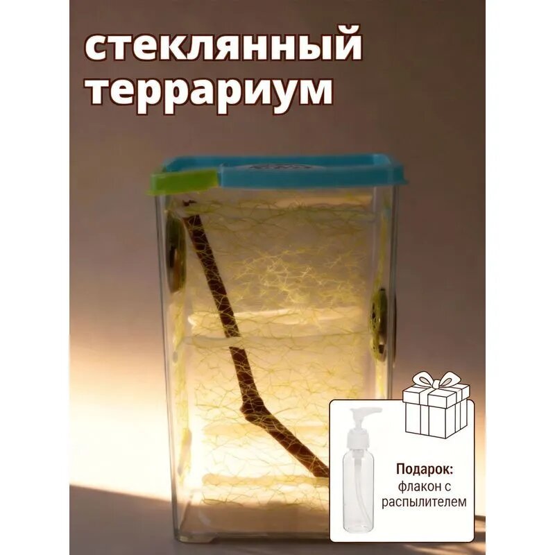 Прозрачный контейнер для разведения палочников 17,0 10,5 8,0 см с уникальным дизайном