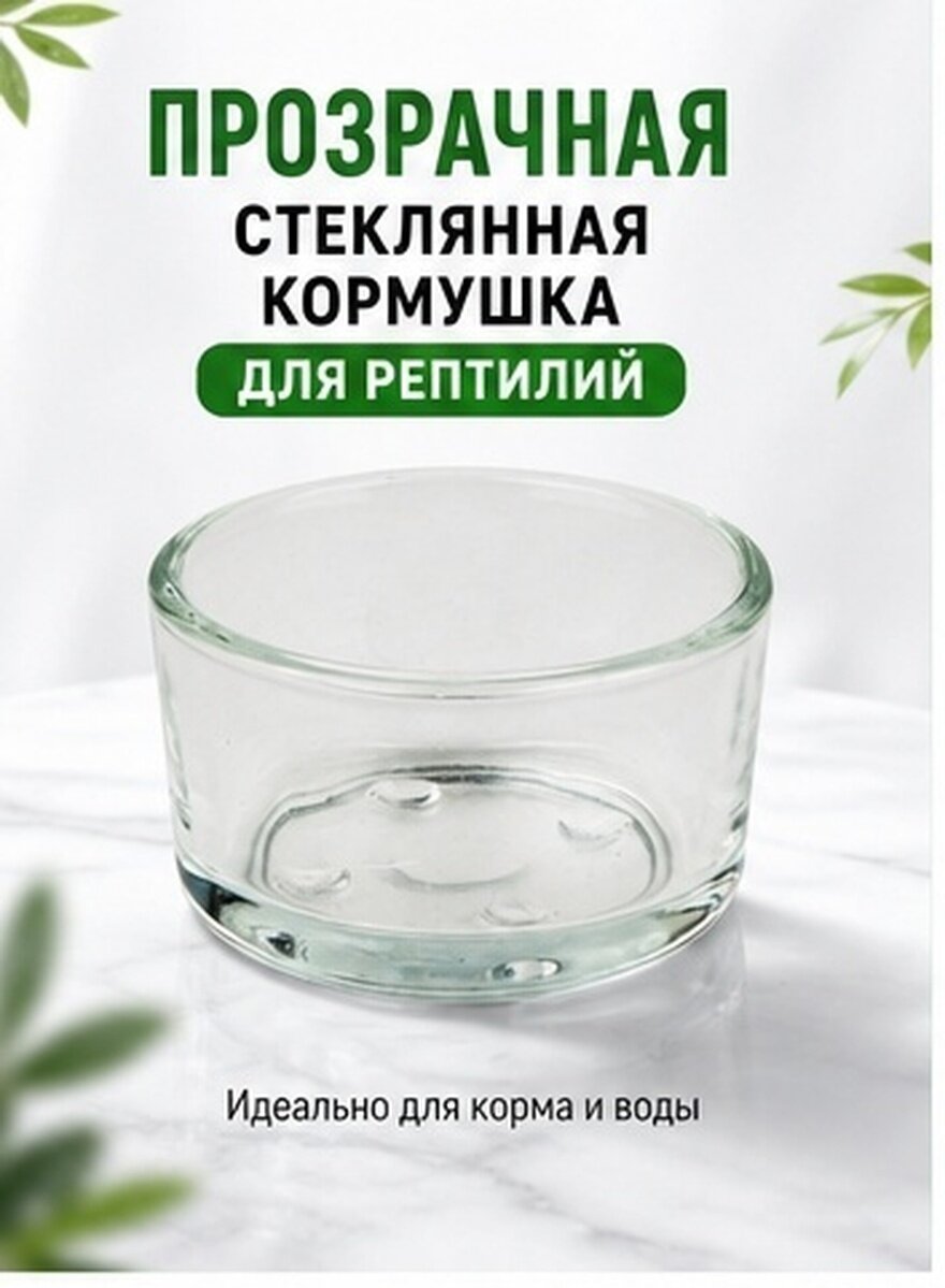 Стеклянная Чашка Для Пресмыкающихся 4 Шт Прозрачная Многофункциональная Толстостенная