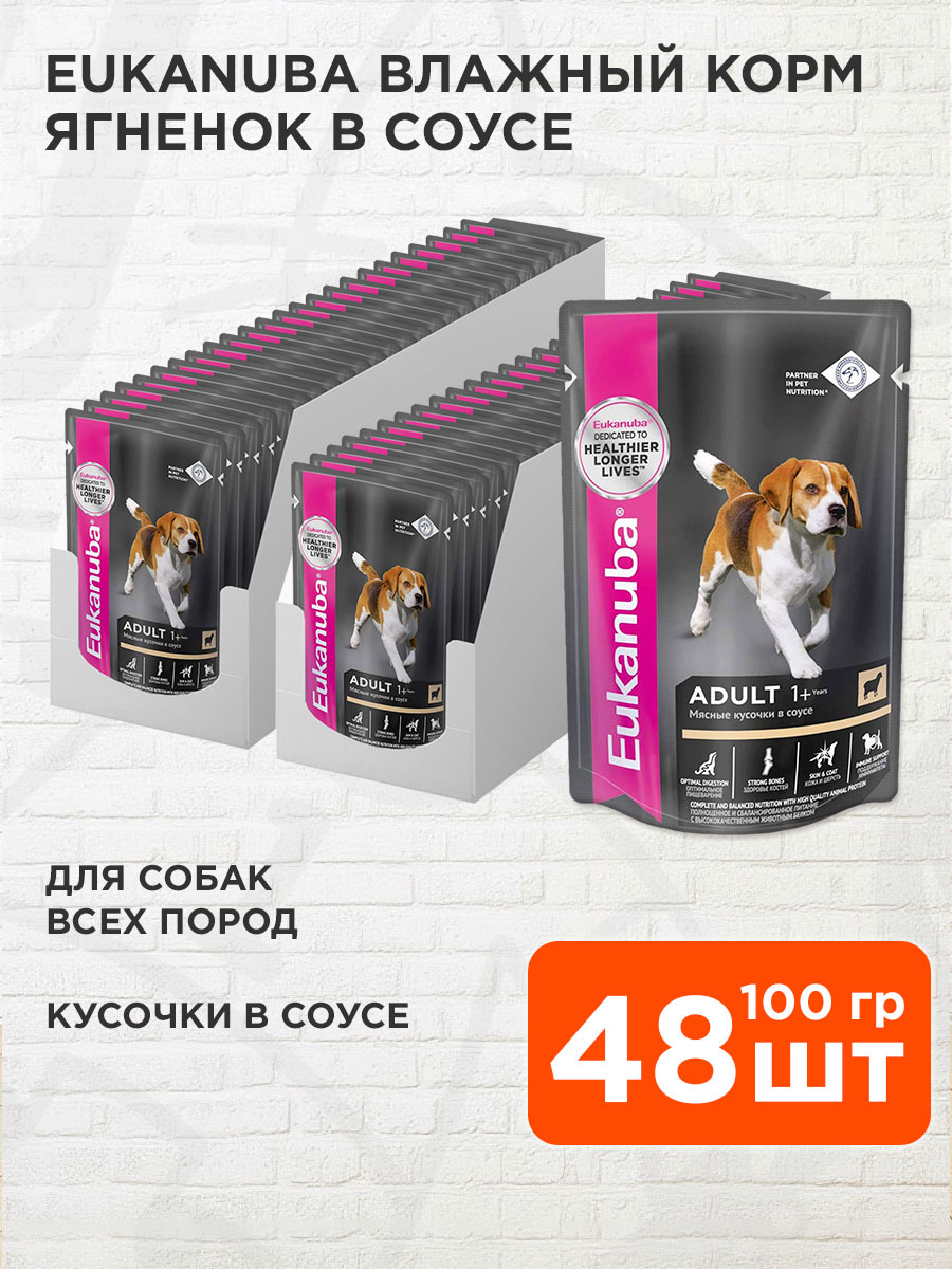 Корм влажный Eukanuba Dog Adult для взрослых собак ягненок в соусе, 100 г 48 шт