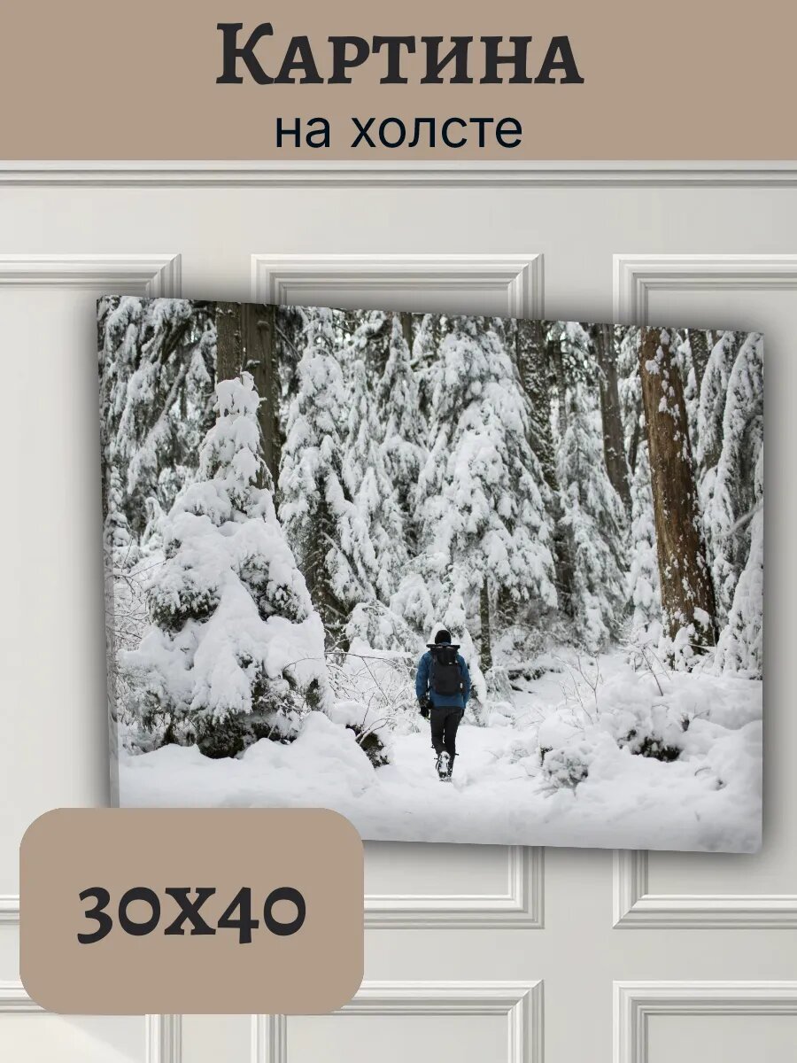 Картина Финляндия Finland 30x40 зимний лесной пейзаж