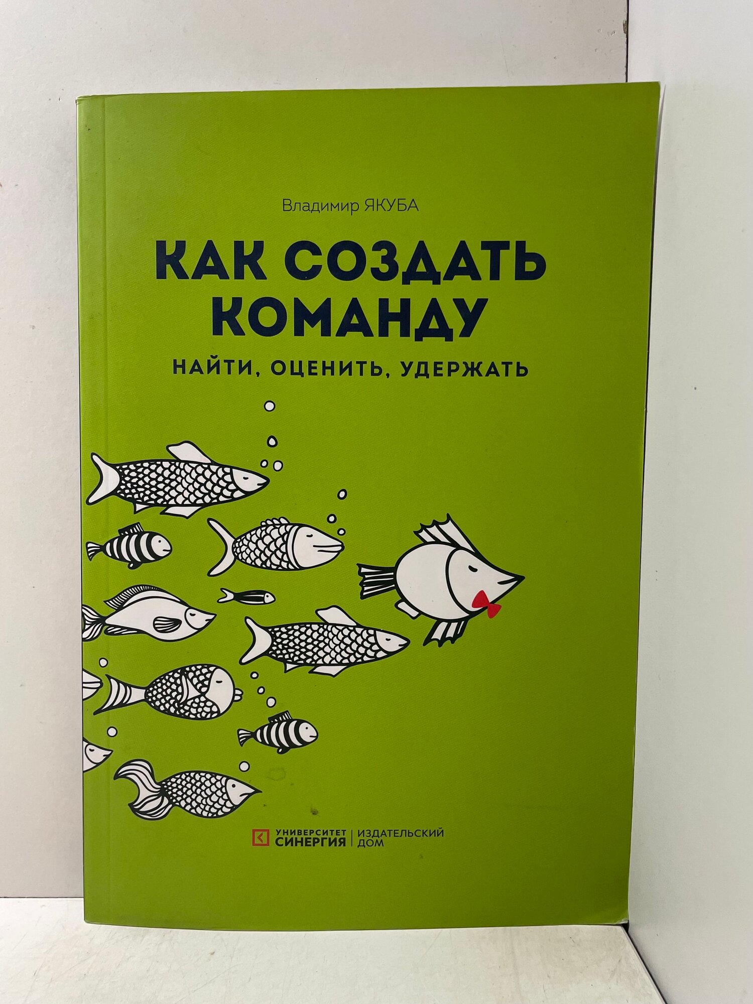 Как создать команду. Найти, оценить, удержать Якуба Владимир Александрович