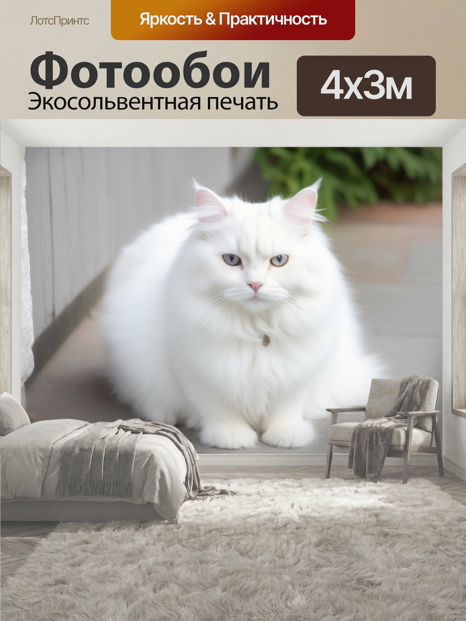 Фотообои "Белый пушистый коты домашние питомцы" 400x300 см. экосольвентная печать