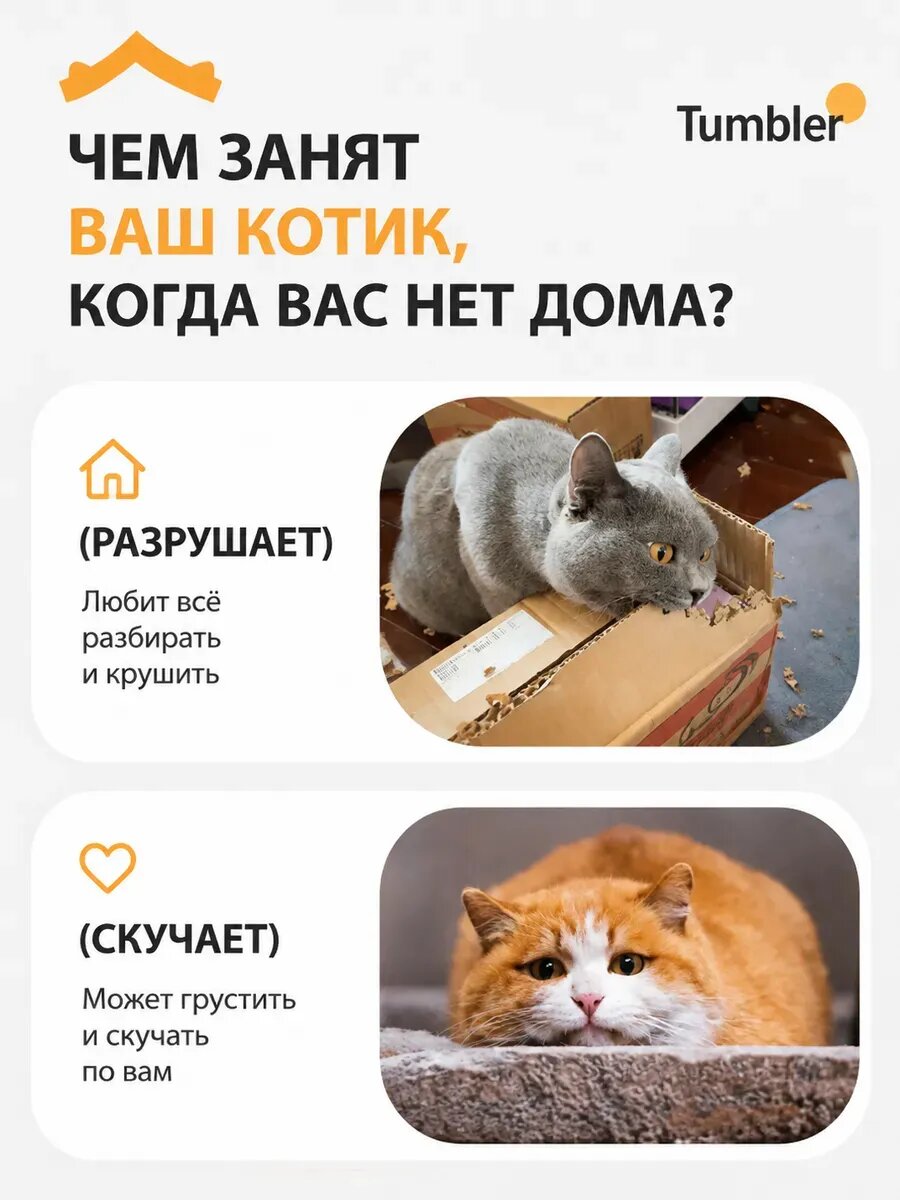 Переводчик для кошек — фото 1