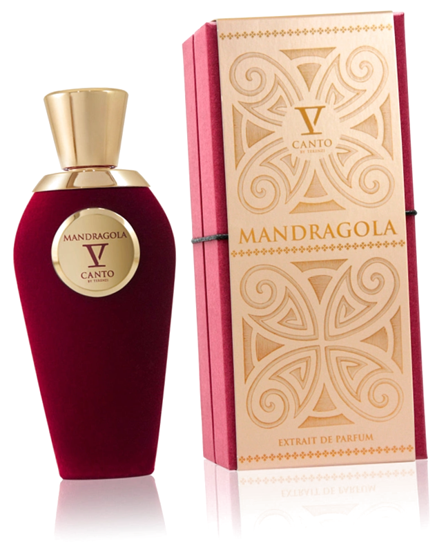 V Canto Mandragola 100 мл аромат для женщин - Мандрагора Квинто Канто
